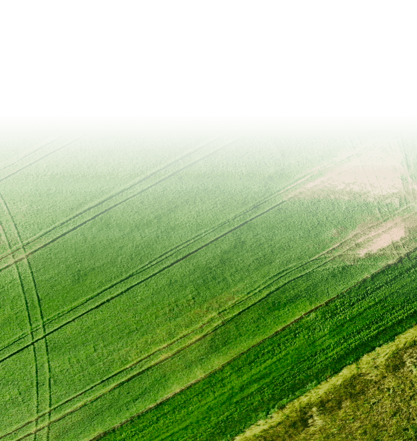 Promindsa - Pigmentos oxidos de Hierro y Micronox Biox