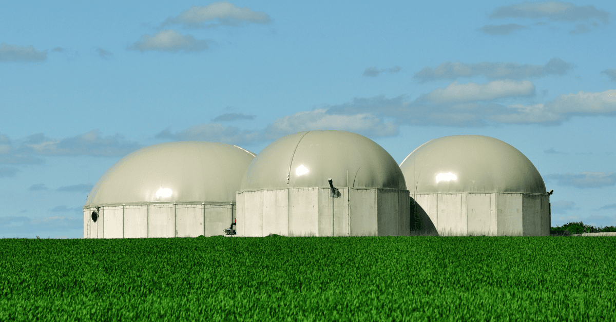 Iron oxide vs. iron hydroxide: which is better for biogas ...